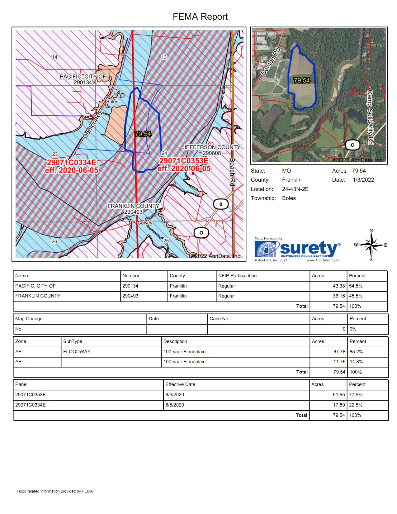 FEMA Flood Zone & FIRM Panels